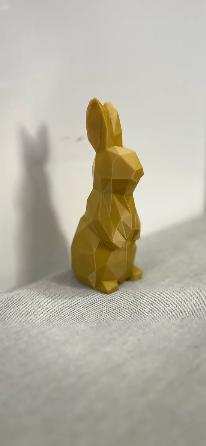Low Poly Bunny by Matdanck121 - MakerWorld