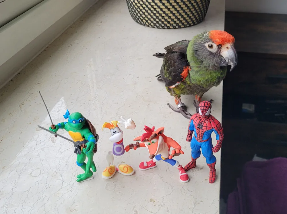 SPIDER-MAN // Multicolor Bambu Project by mynameisbuddy MakerWorld ...