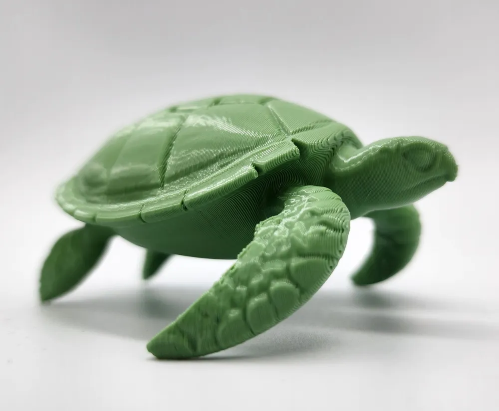 Sea Turtle by Triple G Workshop MakerWorld: Download Free 3D Models