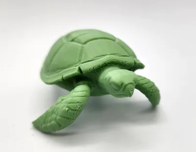 Sea Turtle by Triple G Workshop MakerWorld: Download Free 3D Models