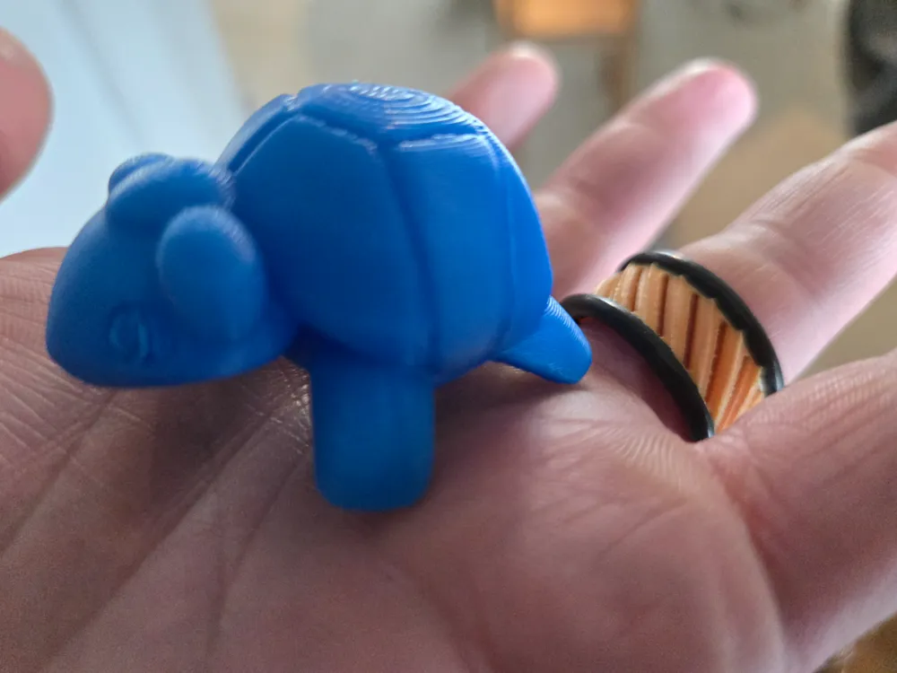 Cute Tortoise by Midsun3Designs - MakerWorld