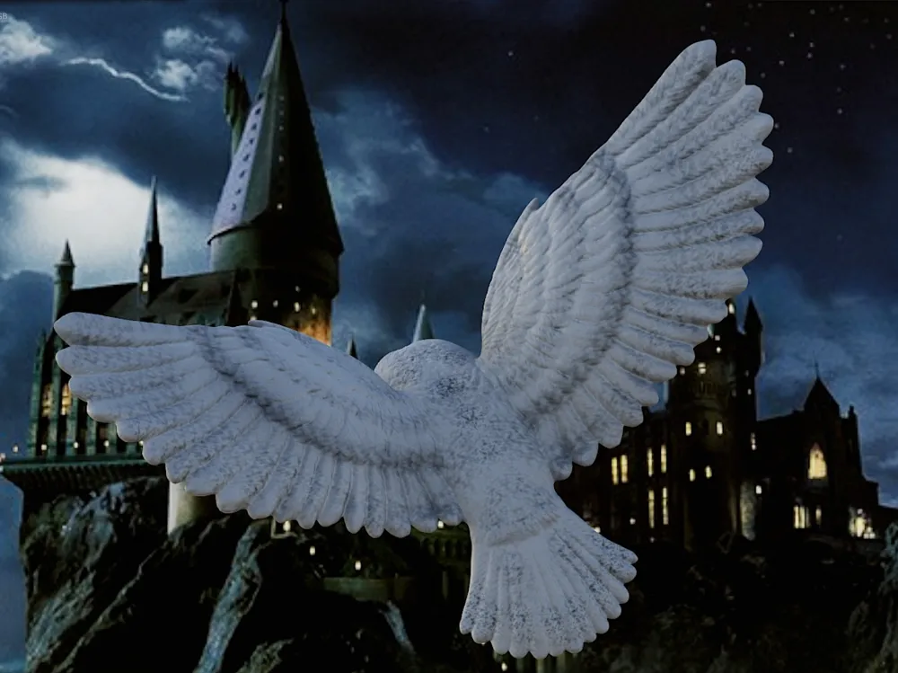 Hedwig Schnee-Eule Harry Potter von Valkyrie Forge - MakerWorld