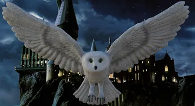 Hedwig Snow owl Harry potter by Valkyrie Forge MakerWorld: Download ...