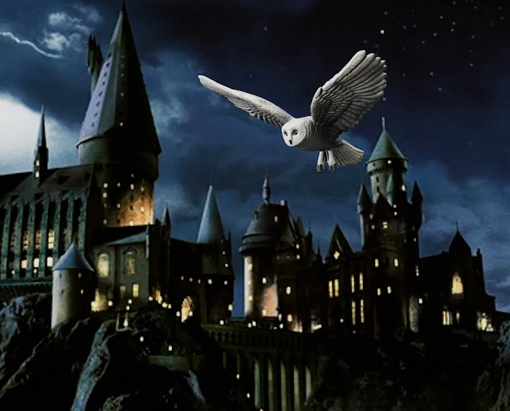 Hedwig Snow owl Harry potter by Valkyrie Forge - MakerWorld