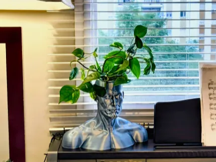 Human Head Plant Pot - Free 3D Print Model - MakerWorld