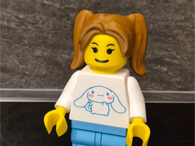 Figurine en briques Homme/Femme avec T-shirt Cinnamoroll 20cm - Modèle ...