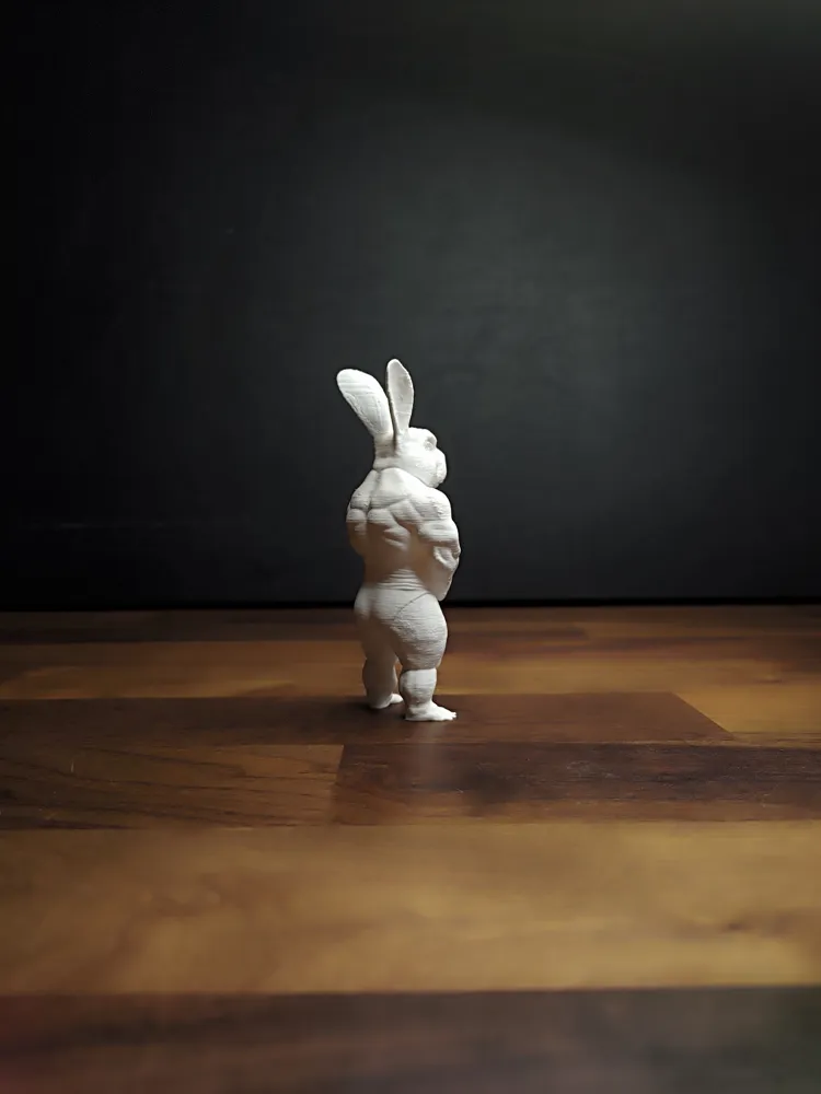 Gym Bunny – Muscular Fitness Bunny Figure - Free 3D Print Model ...