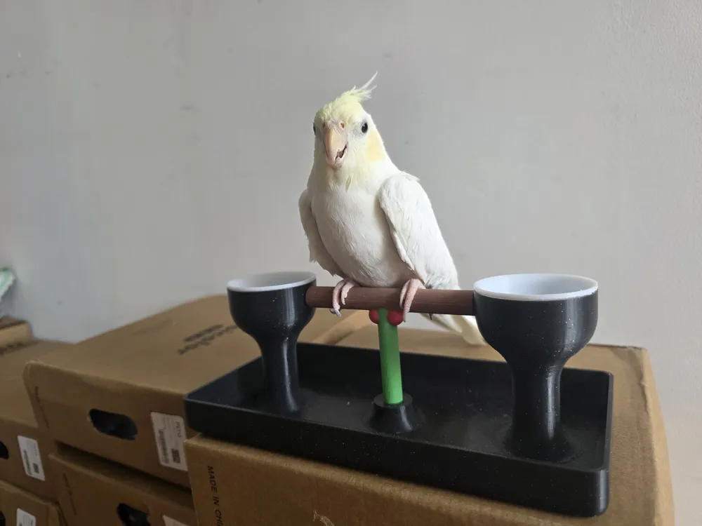 Parrot Perch Stand by user_2359010476 MakerWorld: Download Free 3D Models