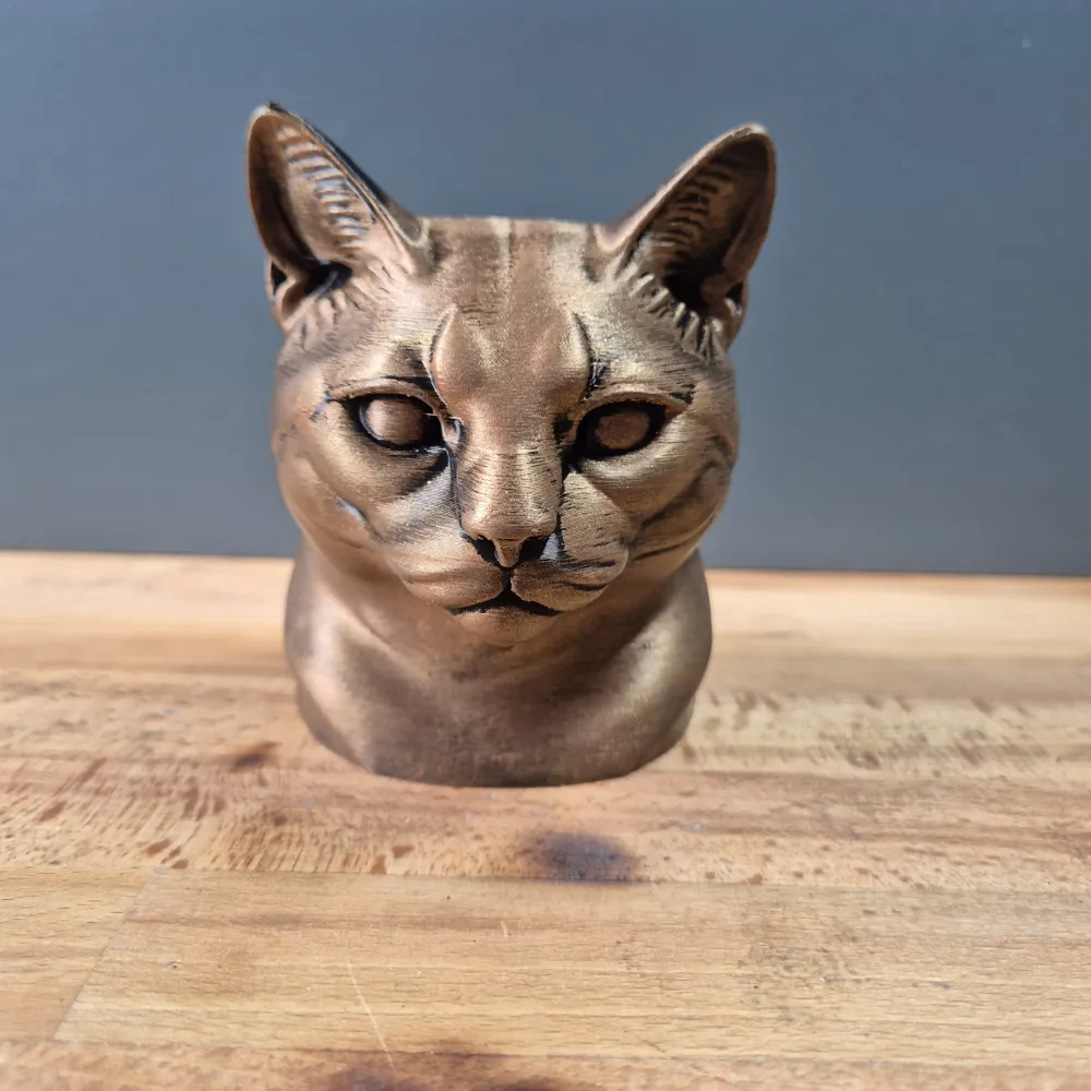 European Shorthair Cat Bust Model by Mr.Jay MakerWorld: Download Free ...