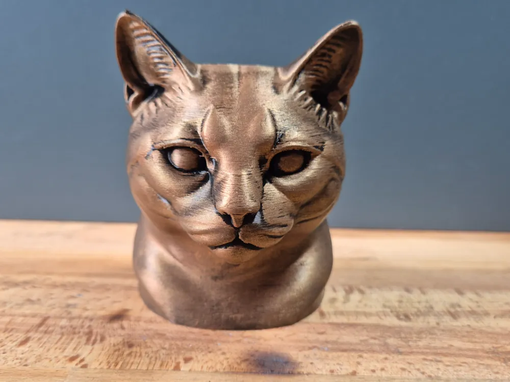 European Shorthair Cat Bust Model - Free 3D Print Model - MakerWorld