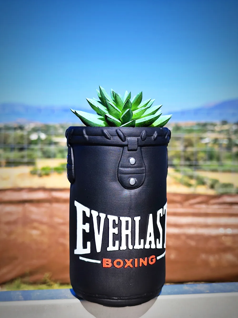 Everlast Punching Bag Organizer/Drinks Holder - Free 3D Print Model ...
