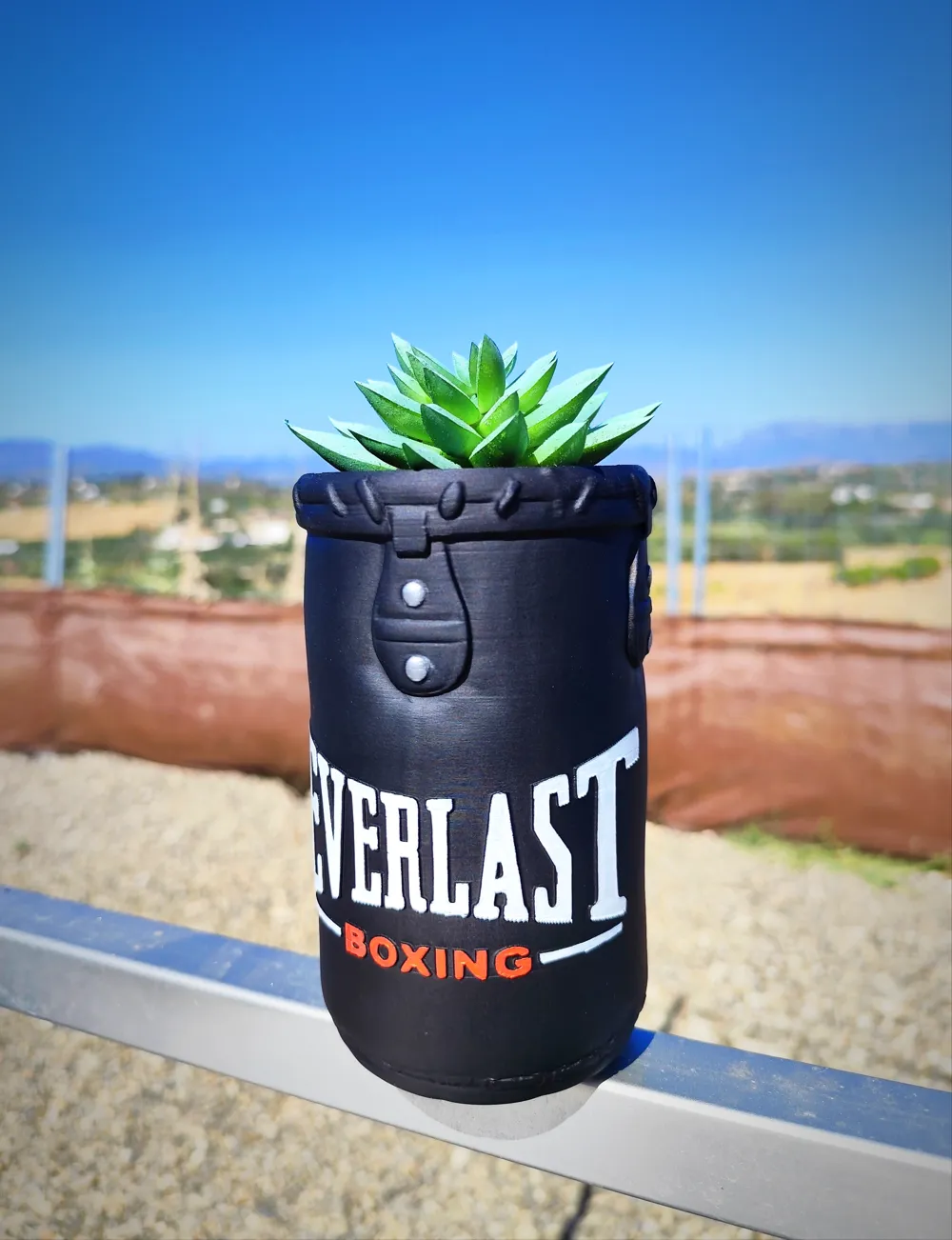 Everlast Punching Bag Organizer/Drinks Holder - Free 3D Print Model ...