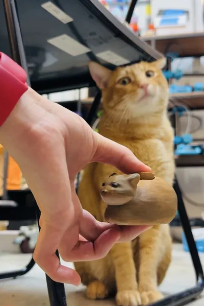 Oiia Oiia Cat meme spinner by ningworksMakerWorld: Download Free 3D Models