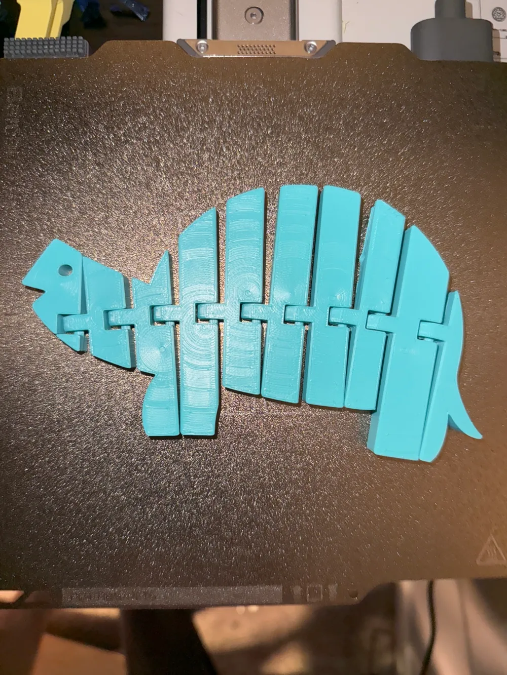 Cute Flexi Turtle by LochSNES - MakerWorld