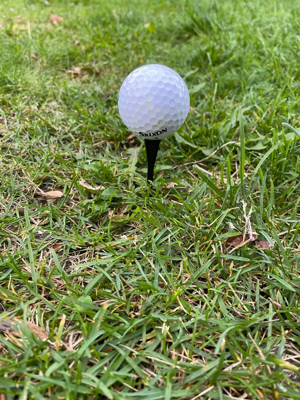 Horizontaly long lasting Golf Peg by 3DPATCHACE - MakerWorld