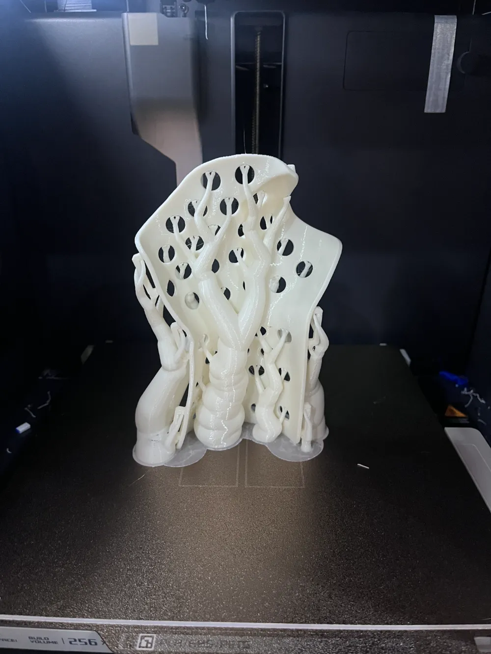 Fracture rehabilitation brace by Zoom MakerWorld: Download Free 3D Models