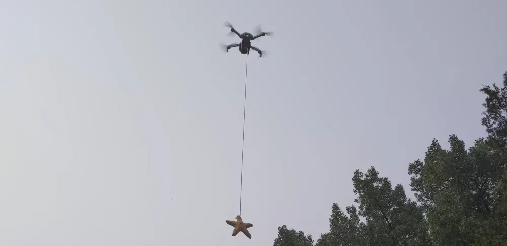 DJI Mini 2 (SE) Payload Tilt-Drop + Landing Legs - Free 3D Print Model ...