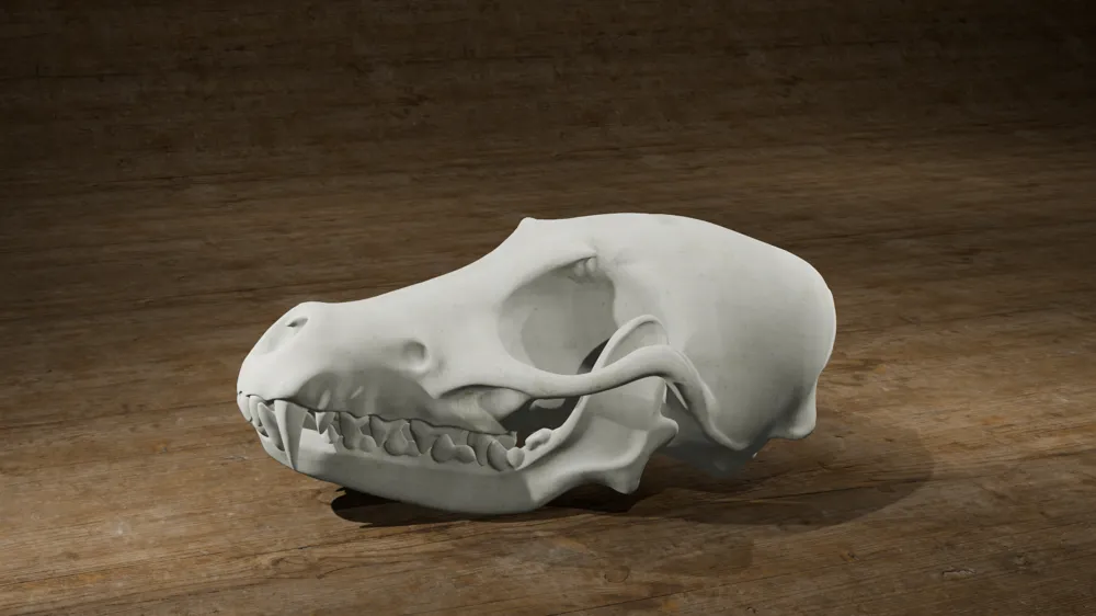 FOX SKULL by _3DCREATE - MakerWorld