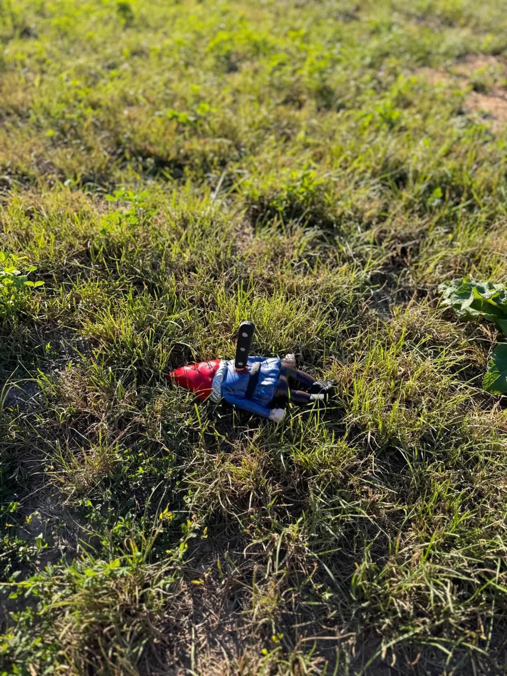 Dead Gnome - Free 3D Print Model - MakerWorld