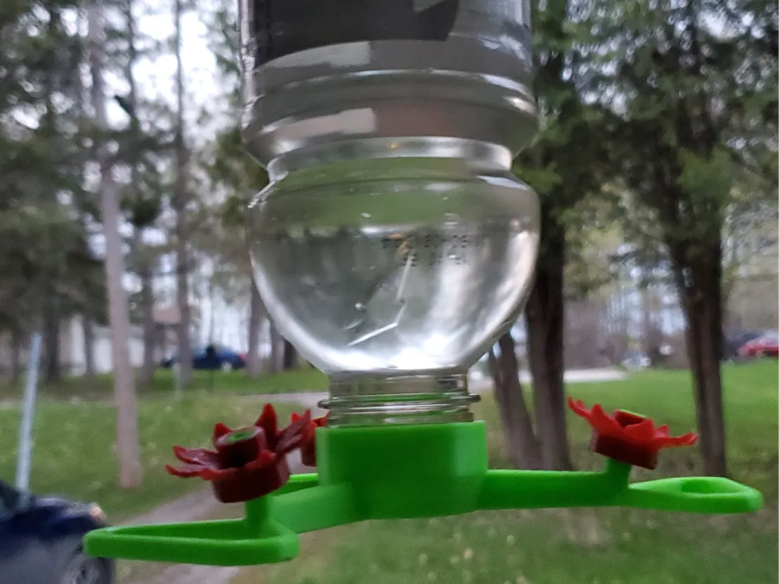 Hummingbird Feeder - Free 3D Print Model - MakerWorld