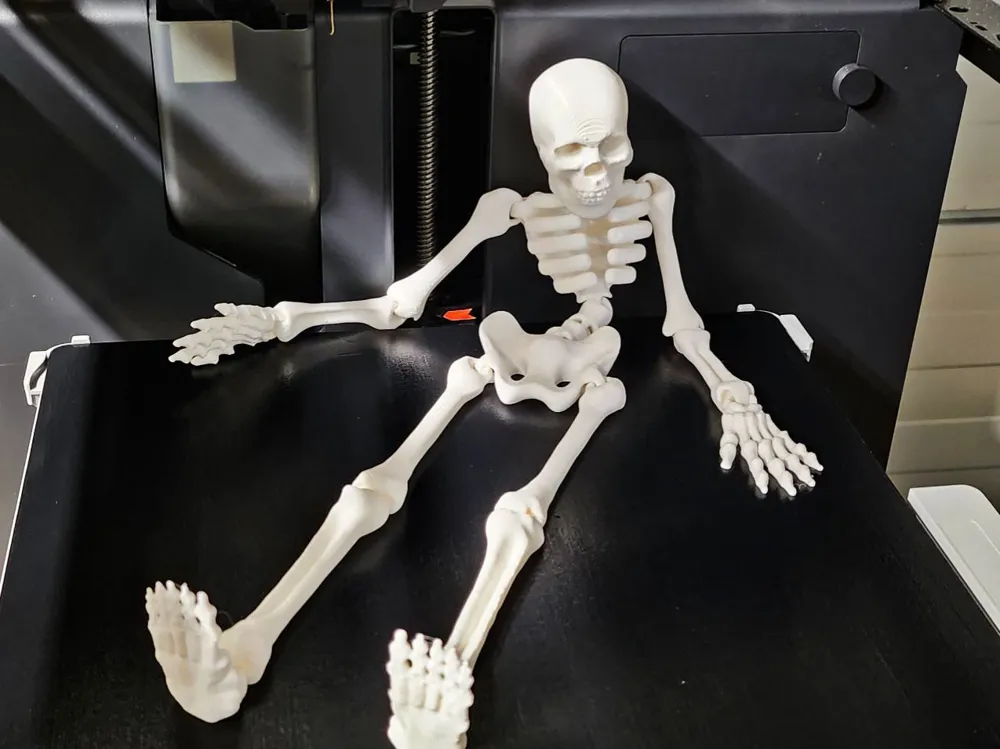 Flexi skeleton by uni3Dworld MakerWorld: Download Free 3D Models