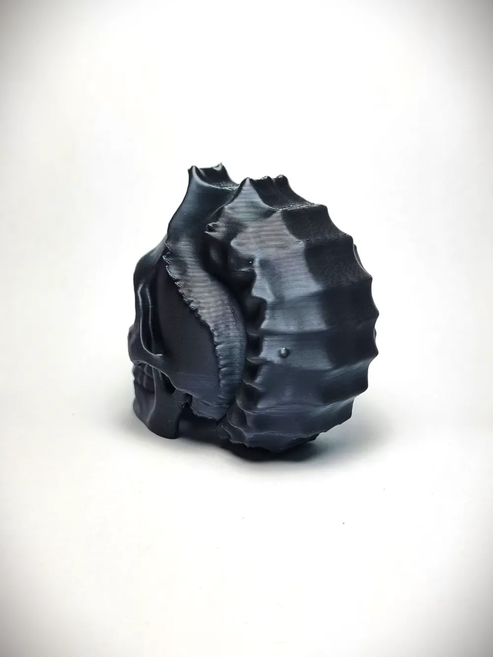 Conch Skull by OverhangOverlord - MakerWorld