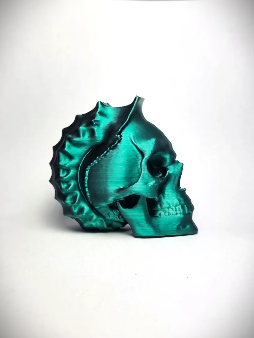 Conch Skull by OverhangOverlord - MakerWorld