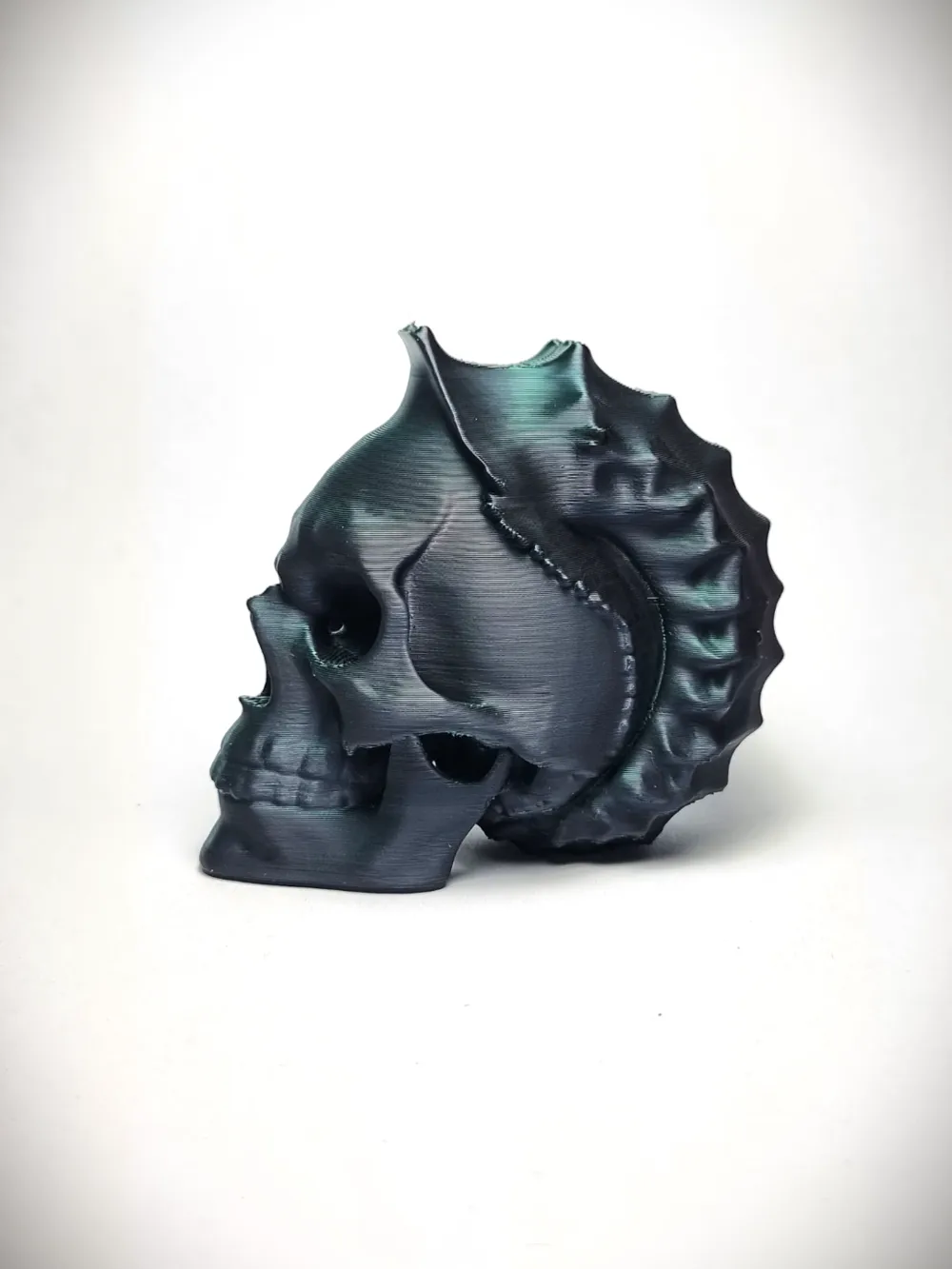 Conch Skull by OverhangOverlord - MakerWorld