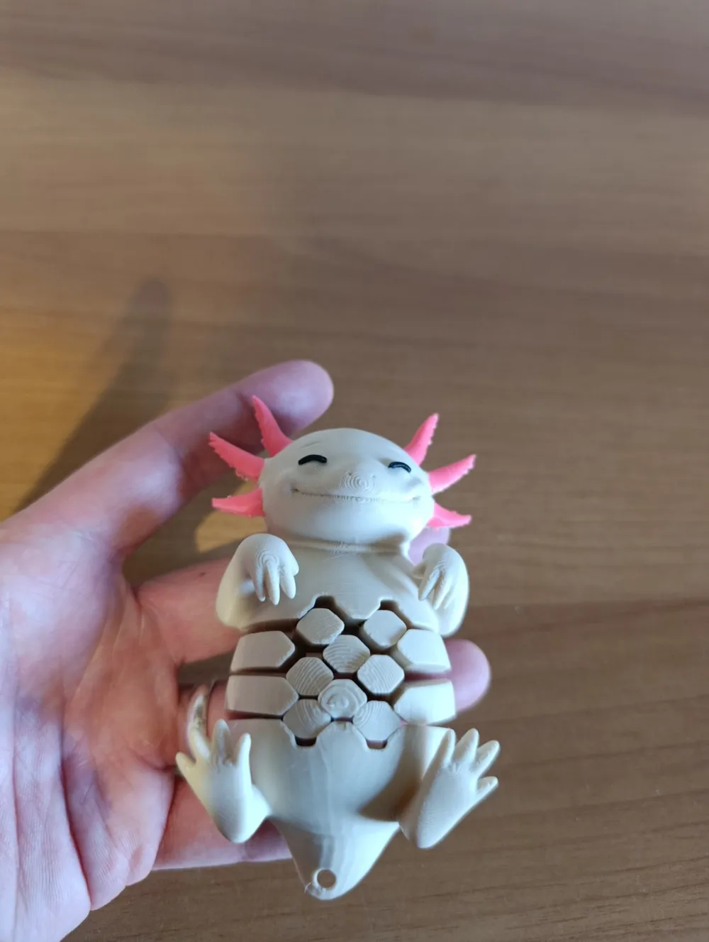 Articulated Axolotl Cute Flexi Fidget 3d Print Free 3d Print Model