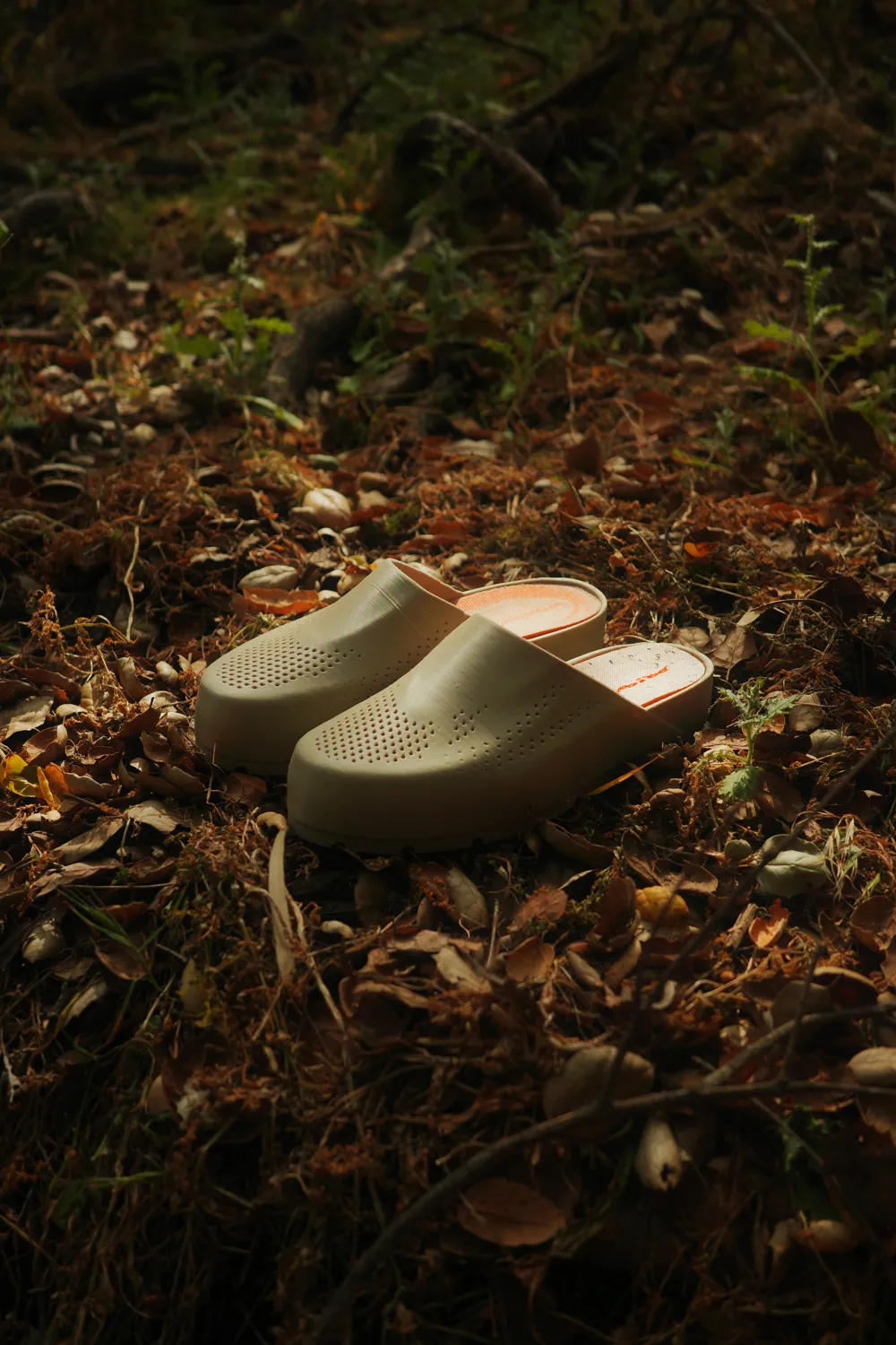 Fig.(0) by Presq Studio MakerWorld: Download Free 3D Models