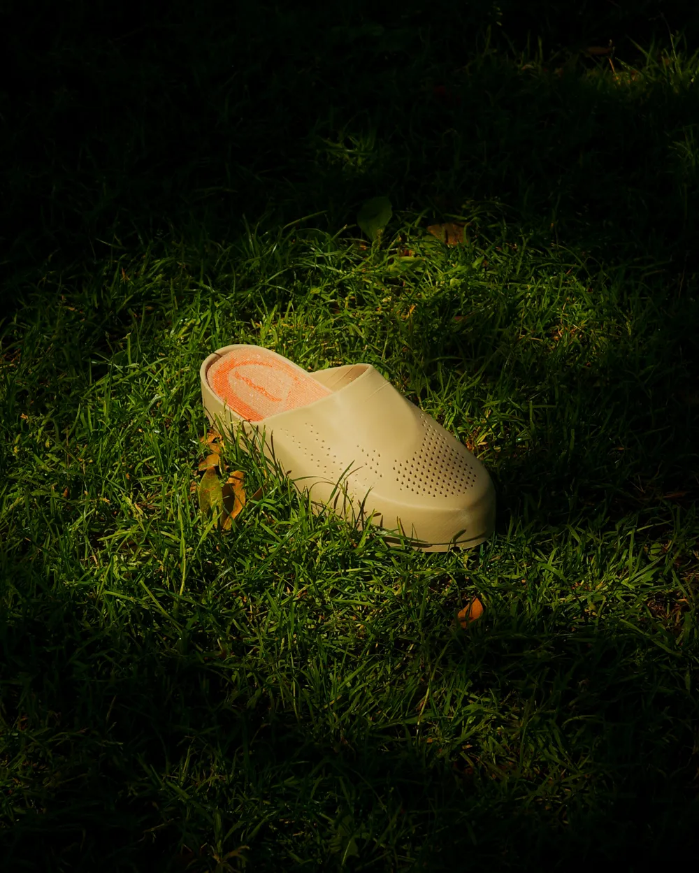 Fig.(0) by Presq Studio MakerWorld: Download Free 3D Models