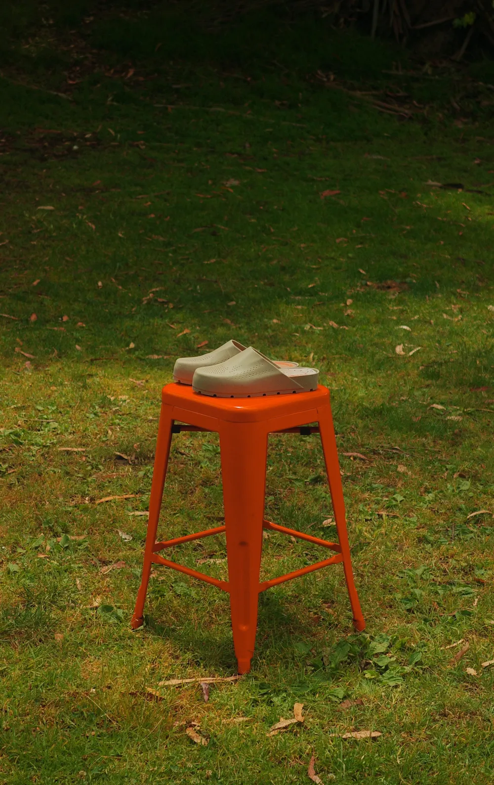 Fig.(0) by Presq Studio MakerWorld: Download Free 3D Models