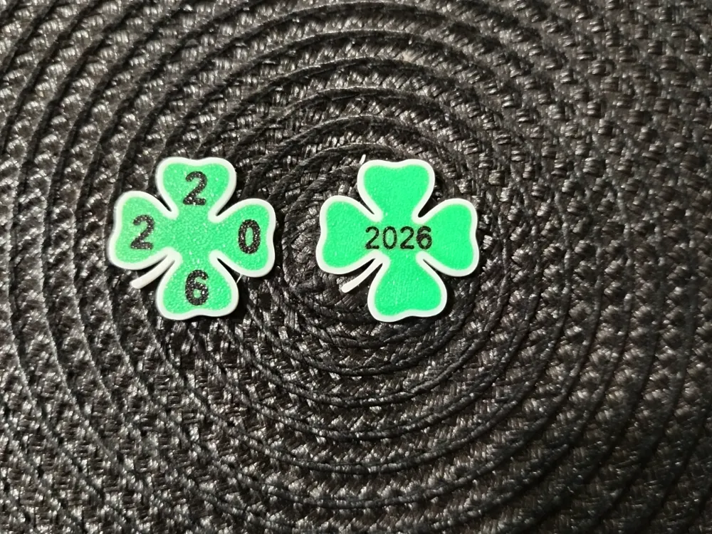 Lucky Coin – 2026 | Two Versions - Free 3D Print Model - MakerWorld