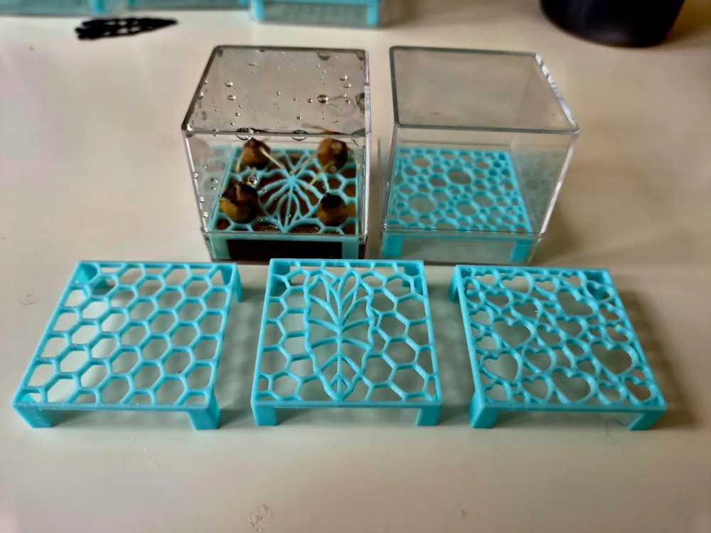 Rhizome Riser for Acrylic Box - Free 3D Print Model - MakerWorld