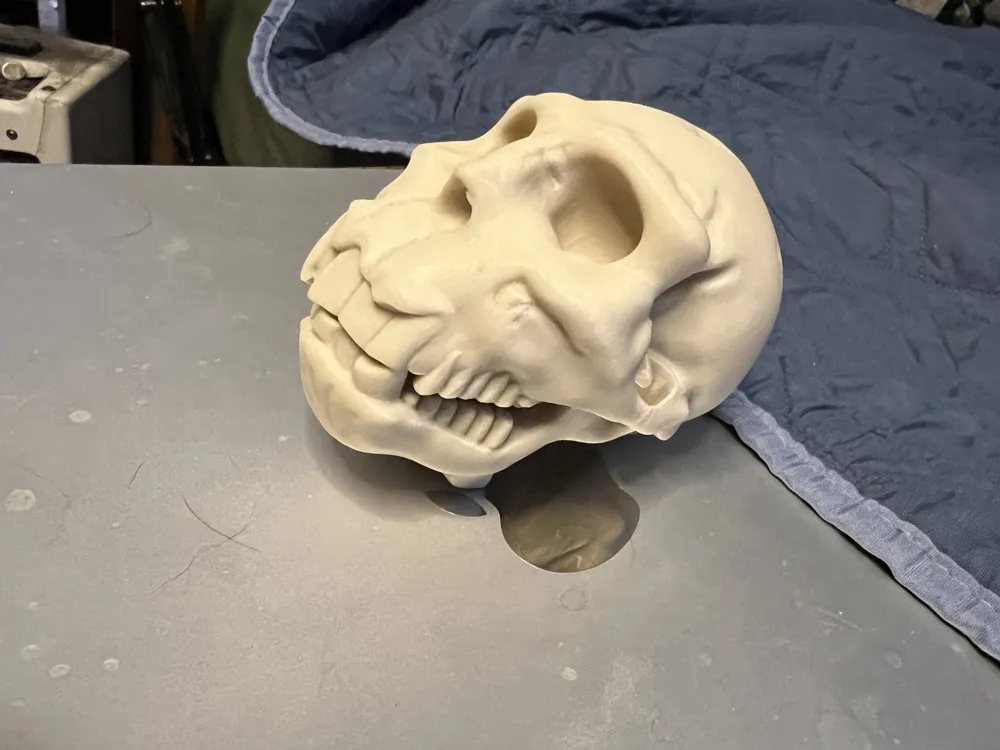 Skull Primate by Magnum3D MakerWorld: Download Free 3D Models