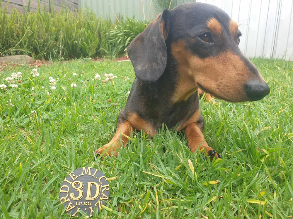 YMC, MakerCoin - Free 3D Print Model - MakerWorld