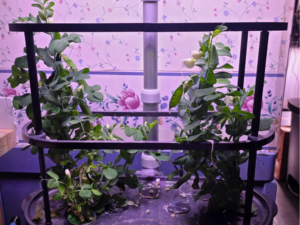 Aerogarden Bounty Trellis - Free 3D Print Model - MakerWorld