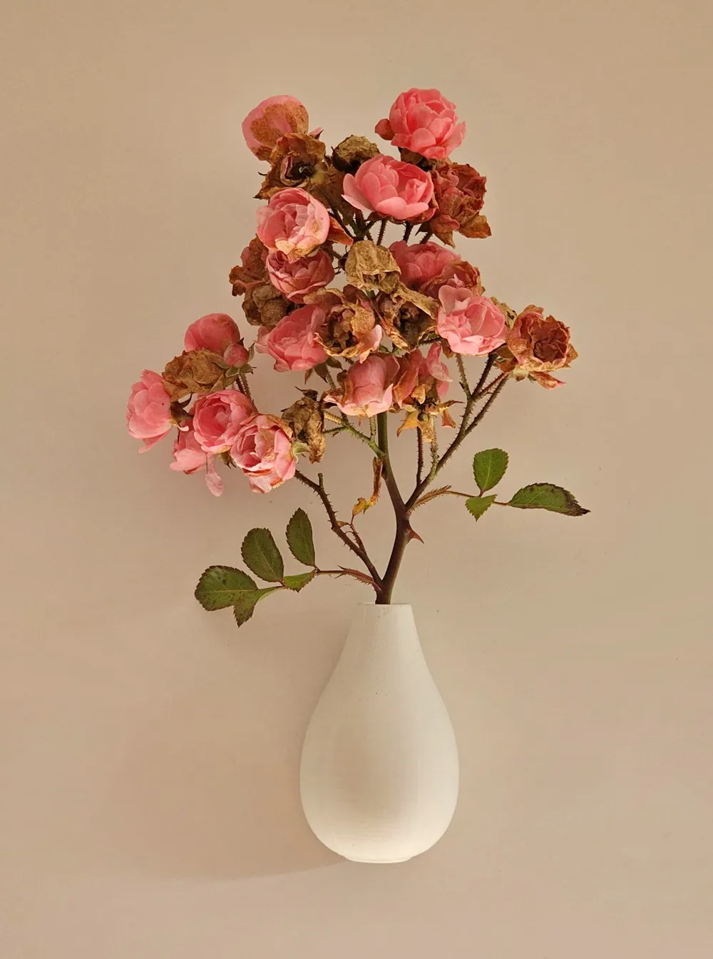 Floating Mini Flower Vase - drop shaped - Free 3D Print Model - MakerWorld