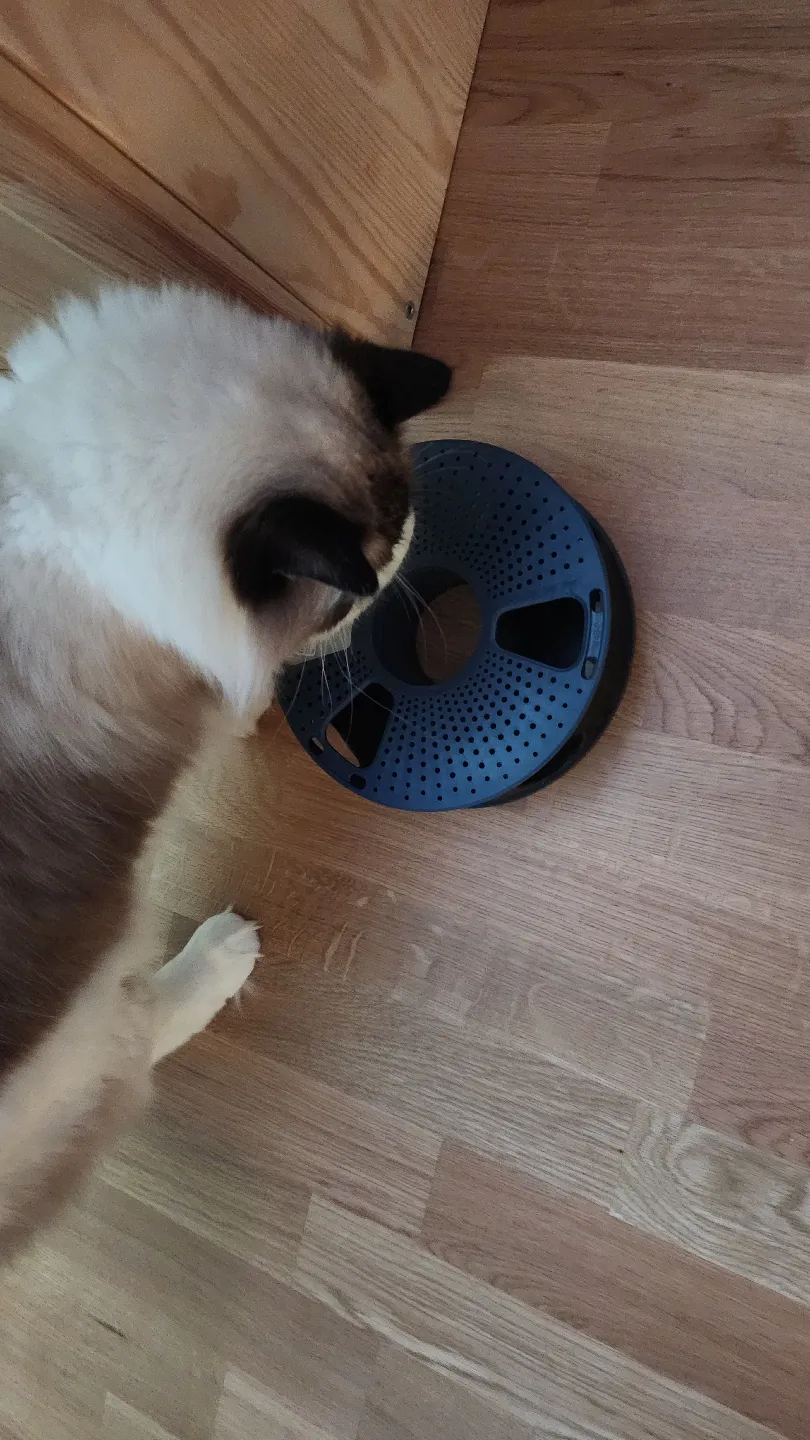 Cat treat activity toy from empty SUNLU spool V1 - Free 3D Print Model ...