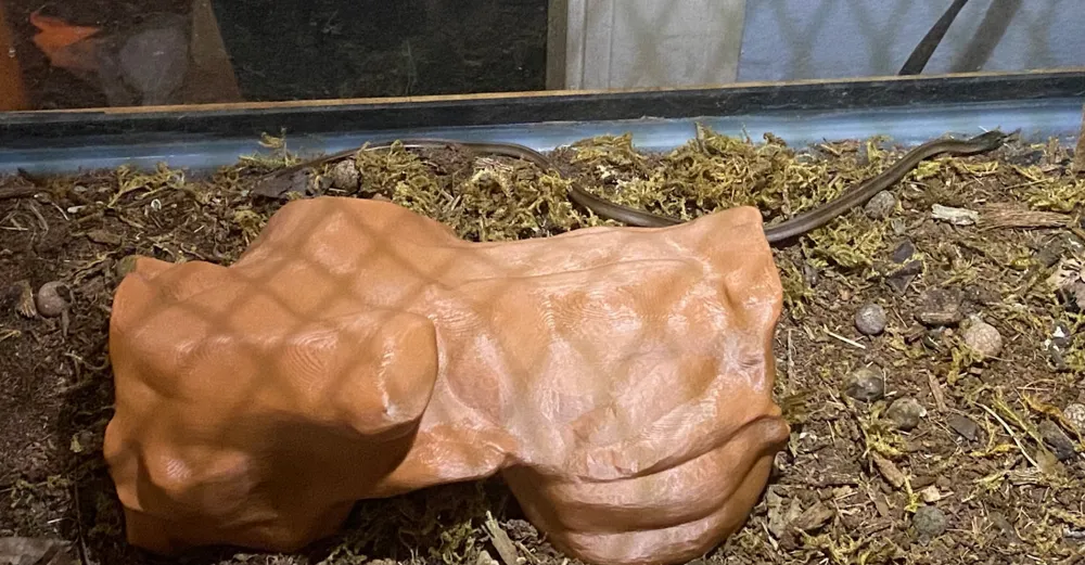 Reptile Log Hide by Ninjake 3Designs MakerWorld: Download Free 3D Models