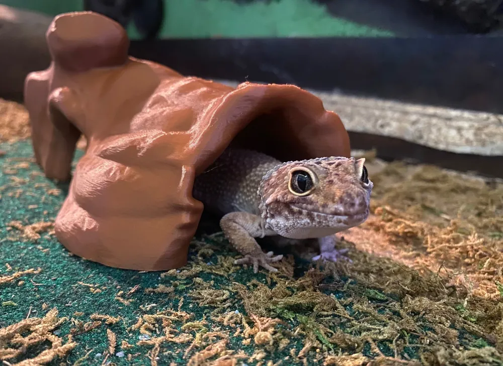 Reptile Log Hide by Ninjake 3Designs MakerWorld: Download Free 3D Models