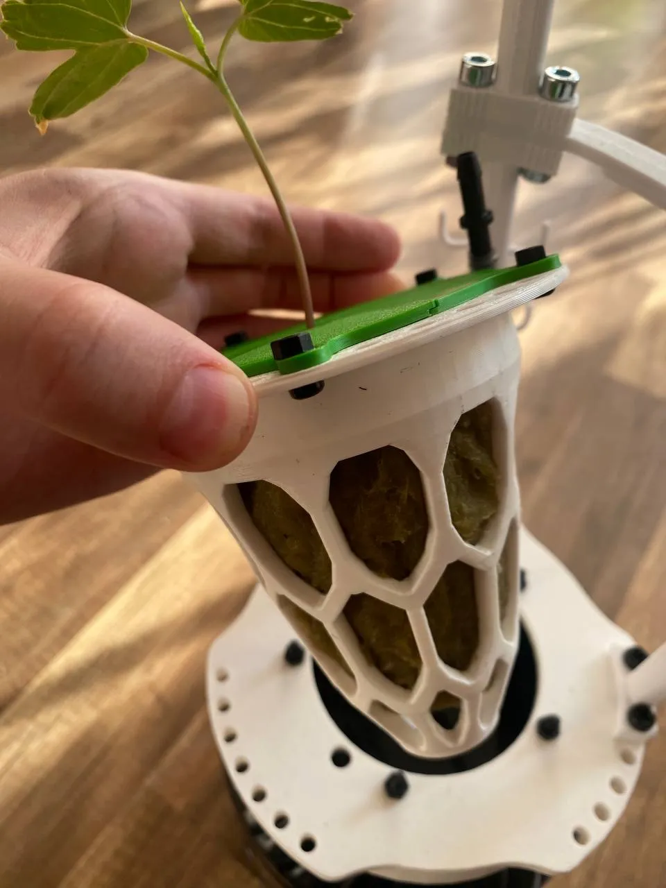 79mm Net pot for Kratky / DWC hydroponics - Free 3D Print Model ...