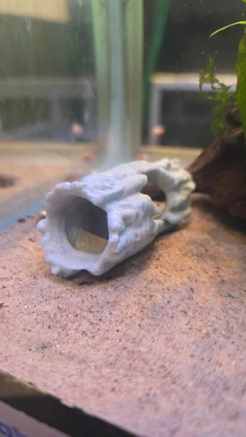 Fish hide by Staehr MakerWorld: Download Free 3D Models