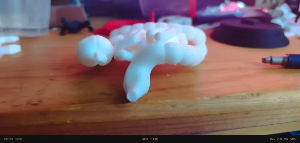 Anatomical model of the small and large intestine by N0va42 MakerWorld ...