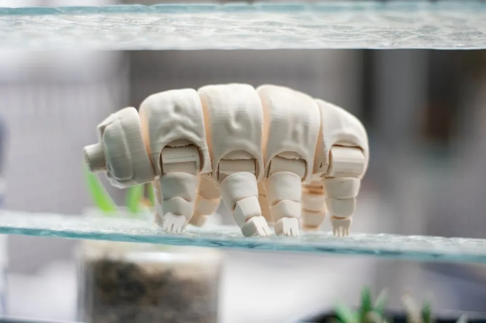 Articulated Tardigrade by mireplica3d MakerWorld: Download Free 3D Models