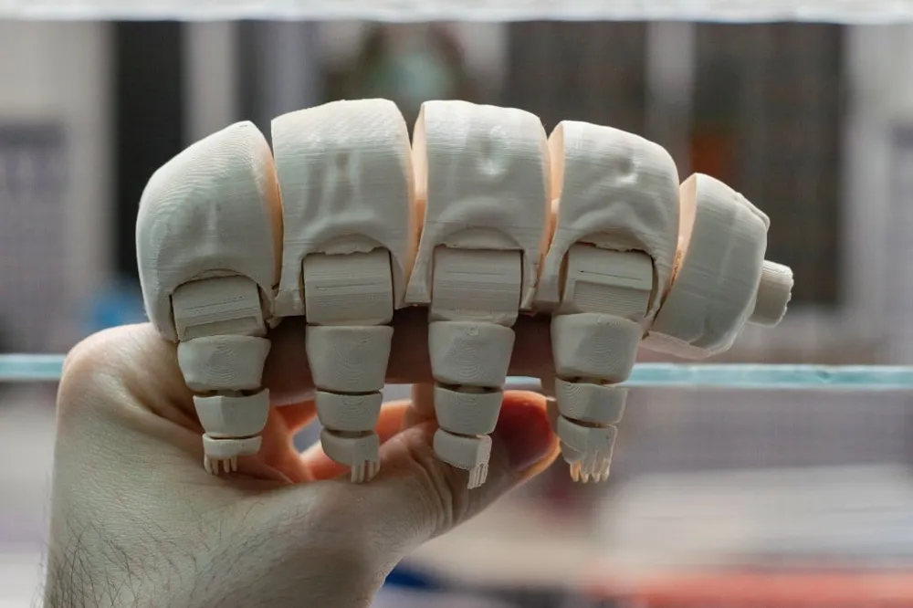 Articulated Tardigrade - Free 3D Print Model - MakerWorld