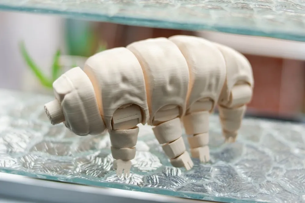 Articulated Tardigrade - Free 3D Print Model - MakerWorld