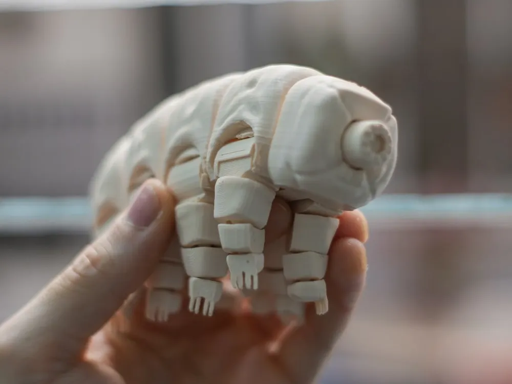 Articulated Tardigrade by mireplica3d MakerWorld: Download Free 3D Models