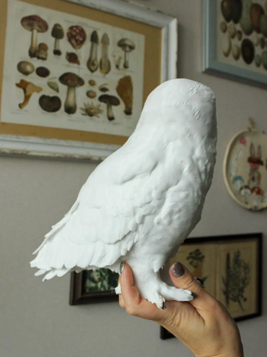 Hedwig the owl from Harry Potter - Free 3D Print Model - MakerWorld