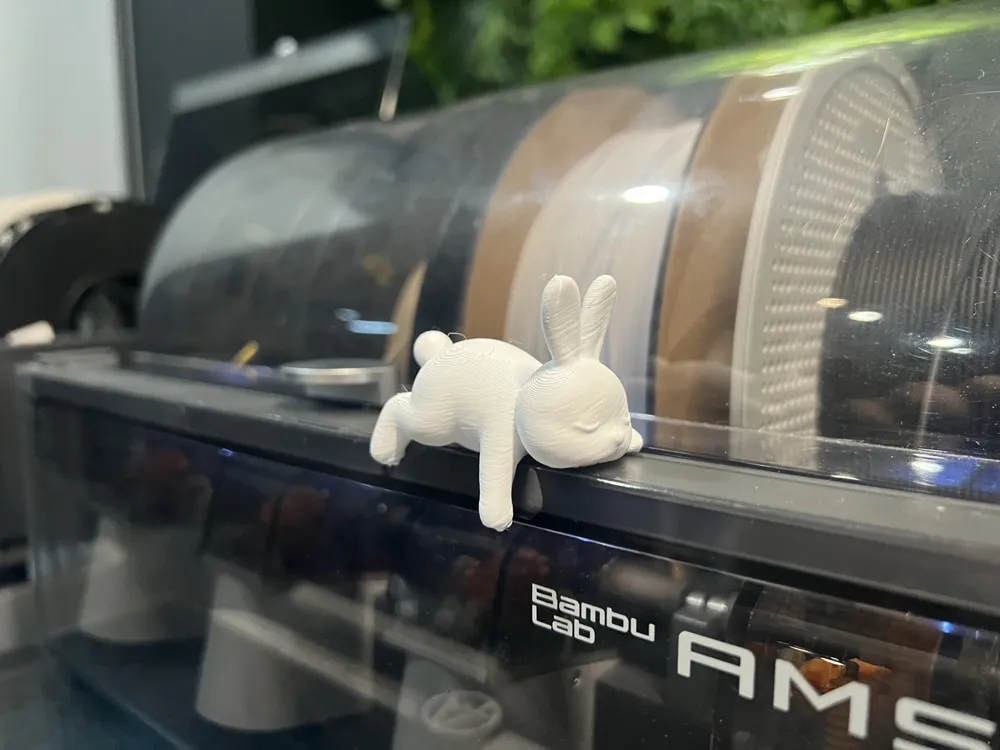 Lazy Rabbit - Lazy Edge Beasts - Free 3D Print Model - MakerWorld